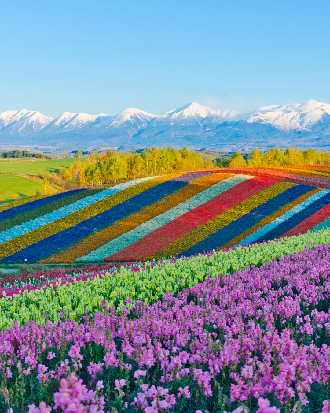 About Us – JTB SINGAPORE